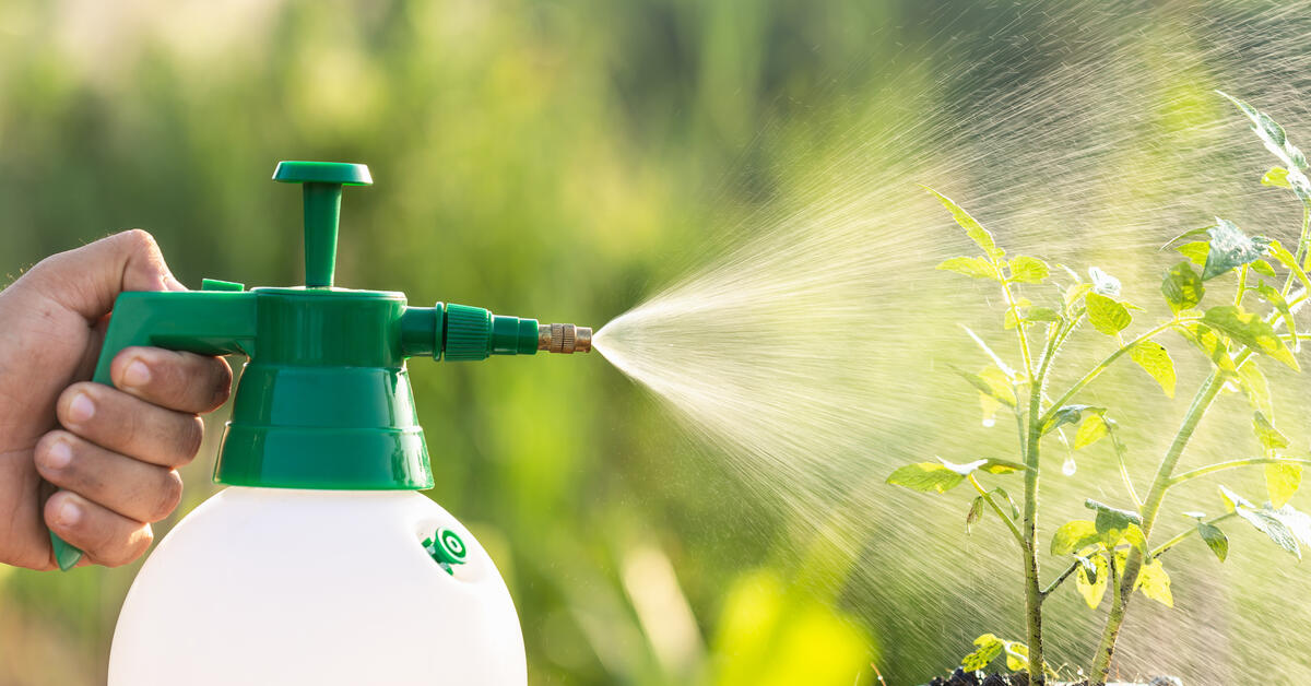 Fabriquer un insecticide naturel | Maison et Services