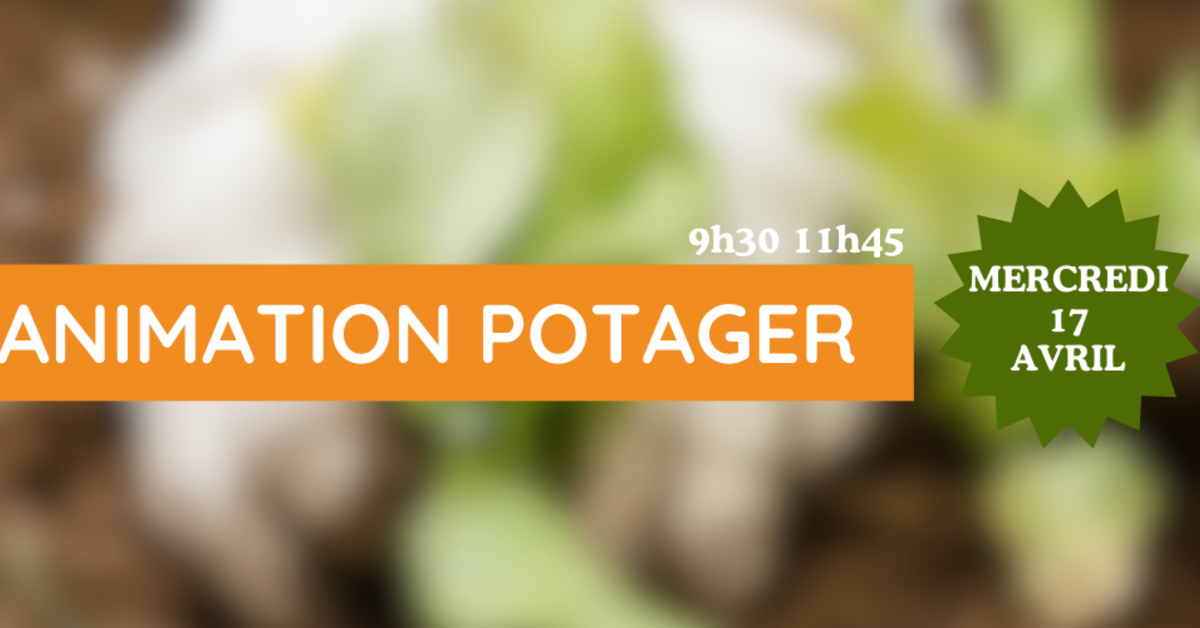 Maison et Services Côte d’Amour organise une animation potager ...