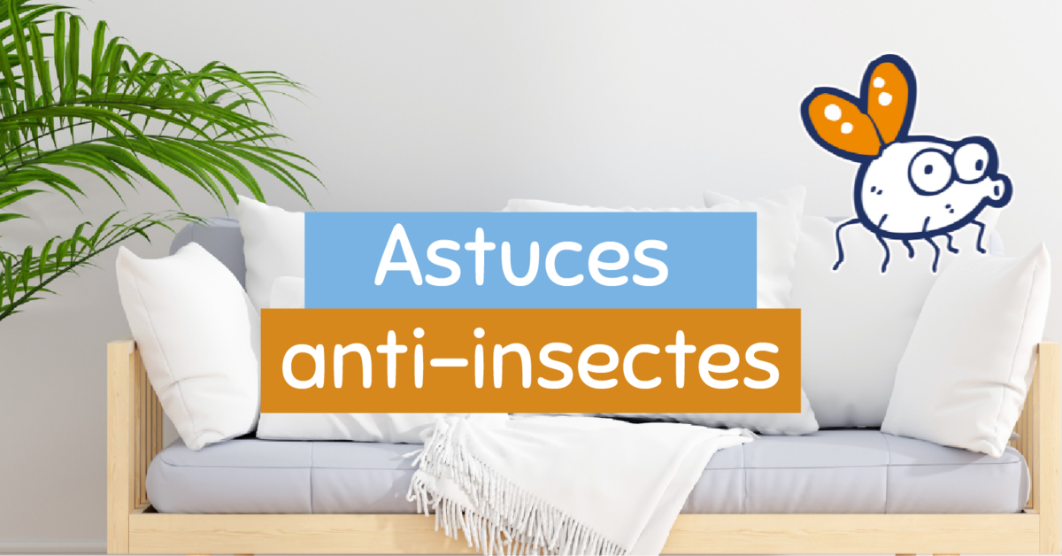 Astuces anti-moucherons et autres petits insectes | Maison et Services