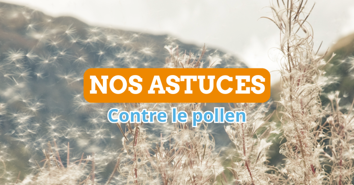 L’arrivée du pollen à Saint-Malo | Maison et Services