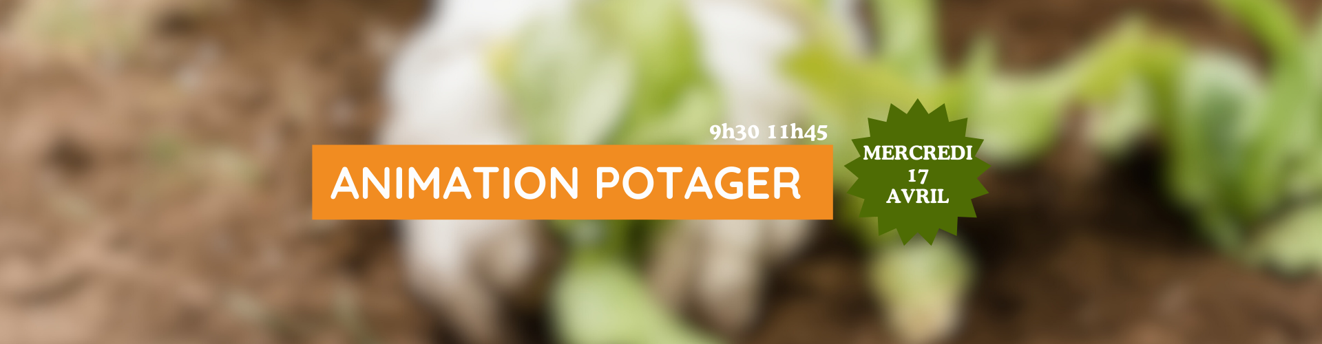 Maison et Services Côte d’Amour organise une animation potager ...